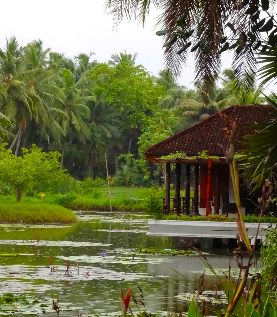 Dindi Adventures Campsite | Dindi Resort | Freakouts