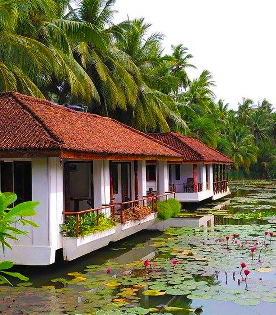 Places to Visit in Dindi | Dindi Tour Package | Freakouts