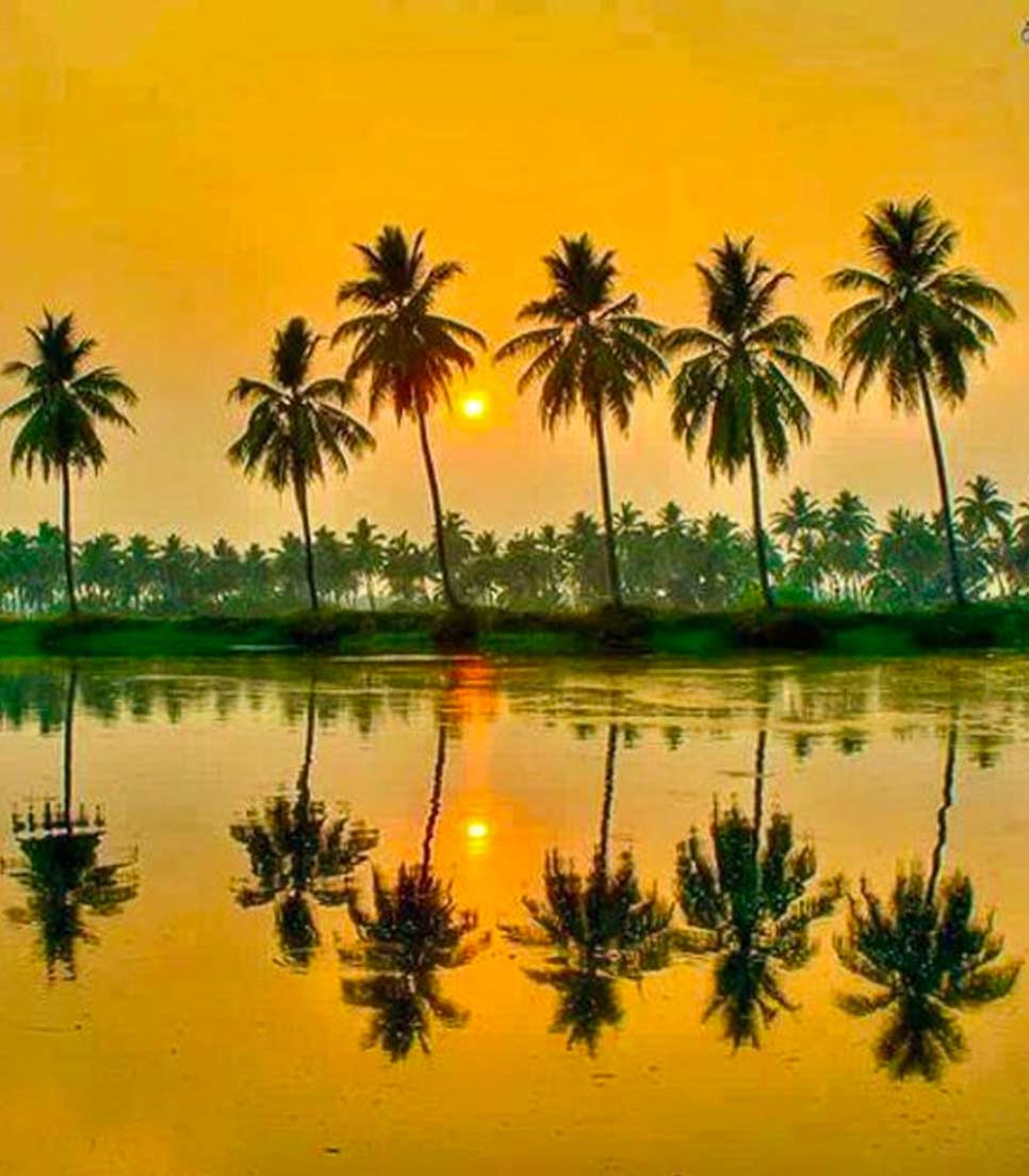 Places to Visit in Dindi | Dindi Tour Package | Freakouts