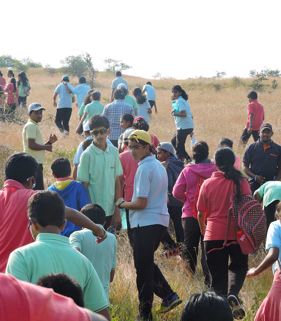 Survival Program for Kids